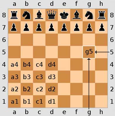 Introduction to Chess | Kids Chess World